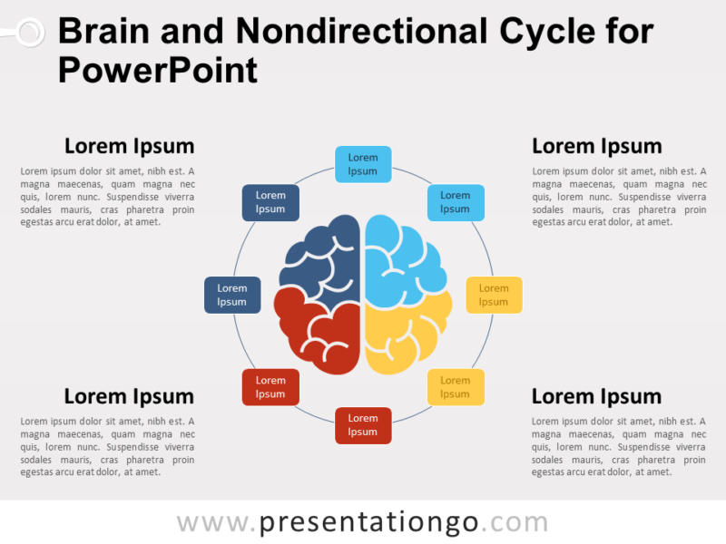 Brain and Nondirectional Cycle for PowerPoint - PresentationGO