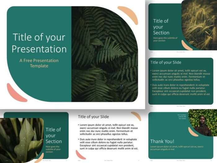 Green Rounded Abstract Template for PowerPoint and Google Slides