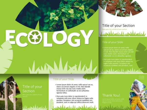 Ecology Template for PowerPoint and Google Slides