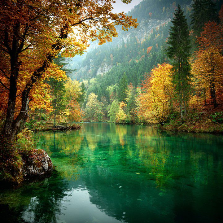 Autumn Forest Reflections on a Crystal-Clear Mountain Lake - PresentationGO
