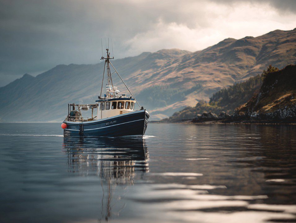 Free Fishing Google Slides and PowerPoint Templates - PresentationGO